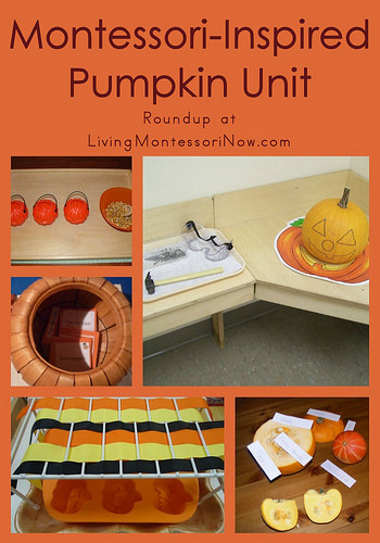 Montessori Inspired Pumpkin Unit montessori-inspired-pumpkin-unit