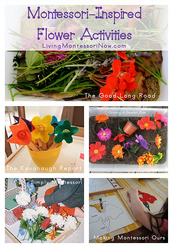Montessori Monday Montessori Inspired Flower Activities