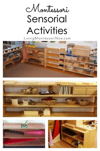 Montessori Sensorial Activities