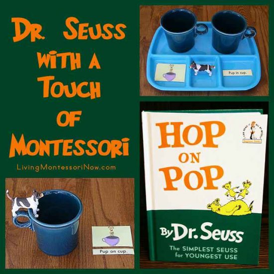{Dr. Seuss Inspired} Cat in the Hat Sensory Bin - Living Montessori Now