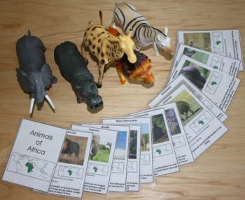Montessori-Inspired Zoo Animal Unit