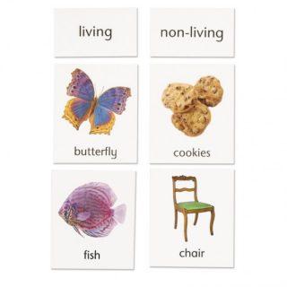 Montessori Living and Non-Living Resources and Activities