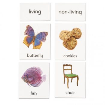 Montessori Living and Non-Living Resources and Activities