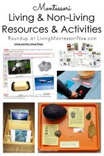 Montessori Living and Non-Living Resources and Activities