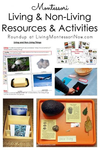 Montessori Living and Non-Living Resources and Activities