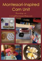 Montessori-Inspired Farm Unit {Hundreds of Resources}
