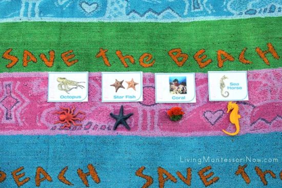 Montessori-Inspired Beach Language Activities Using Free Printables