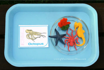 Montessori-Inspired Beach Language Activities Using Free Printables