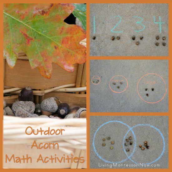 Outdoor Acorn Math Activities