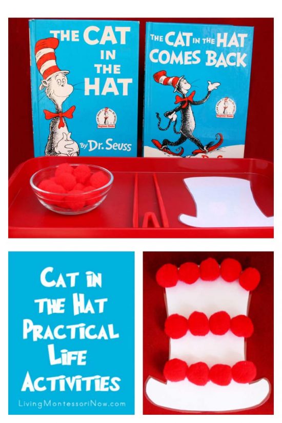 Dr. Seuss Inspired Phonics Activities