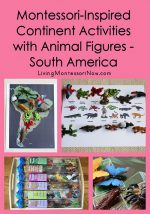 Montessori-Inspired Continent Activities with Animal Figures - South ...