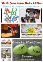 Dr. Seuss Inspired Phonics Activities