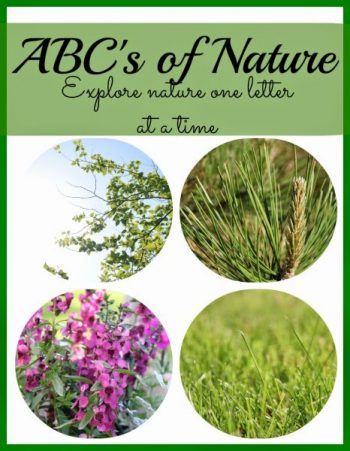 N is for {40+} Nature Walks {with Free Printables}
