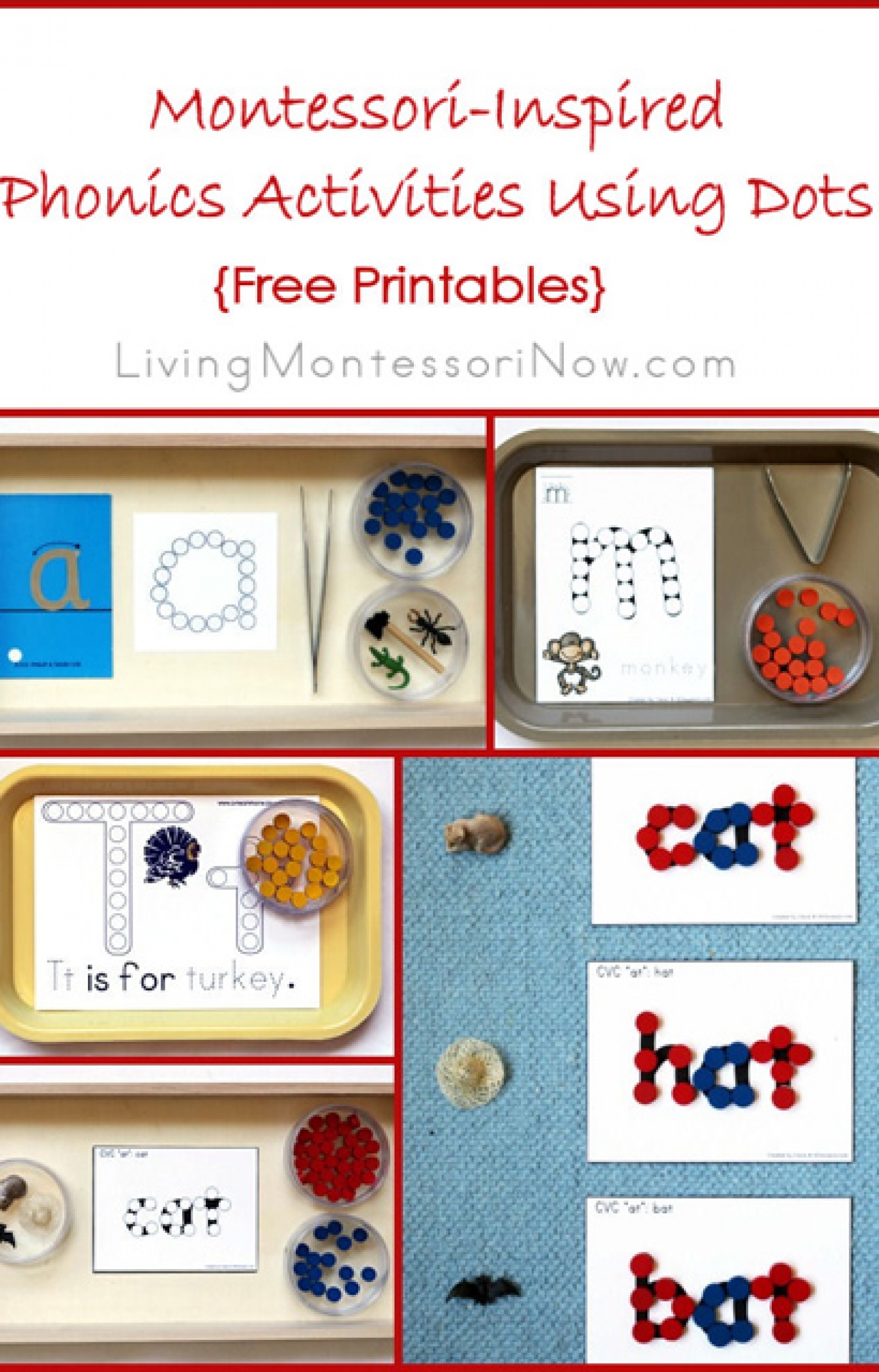 Montessori-Inspired Geometry Activities Using Wooden Shapes and Free ...