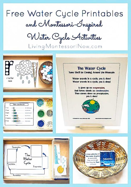 Free Water Cycle Printables and Montessori-Inspired Water Cycle ...