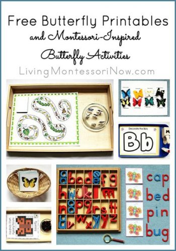 Free Butterfly Printables and Montessori-Inspired Butterfly Activities