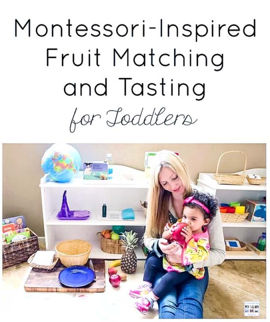 Montessori-Inspired Fruit Matching and Tasting for Toddlers