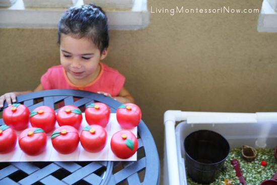Fall Sensory Bin with Practical Life and Math Activities