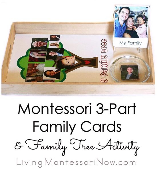 How to Prepare Montessori 3-Part Family Cards and Family Tree Activity