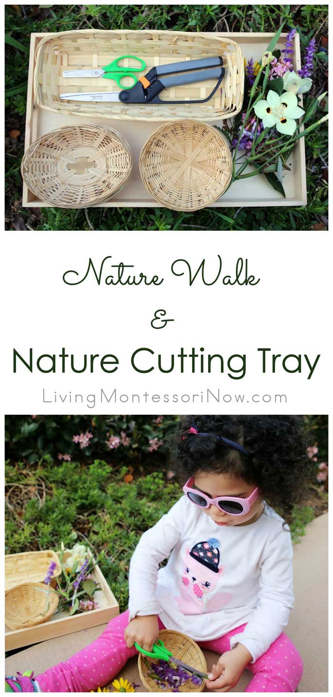 Nature Walk And Nature Cutting Tray For Toddlers And Preschoolers