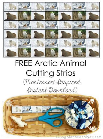 Free Arctic Animal Cutting Strips (Montessori-Inspired Instant Download ...