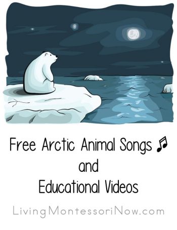 Free Arctic Animal Songs and Educational Videos - Living Montessori Now
