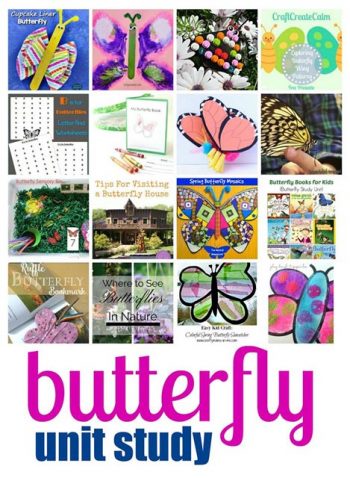 Butterfly Sensory Bin with Scavenger Hunt and Life Cycle Activities ...