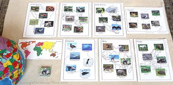 Easy-to-Prepare Montessori Animals of the Continents Activity - Living ...