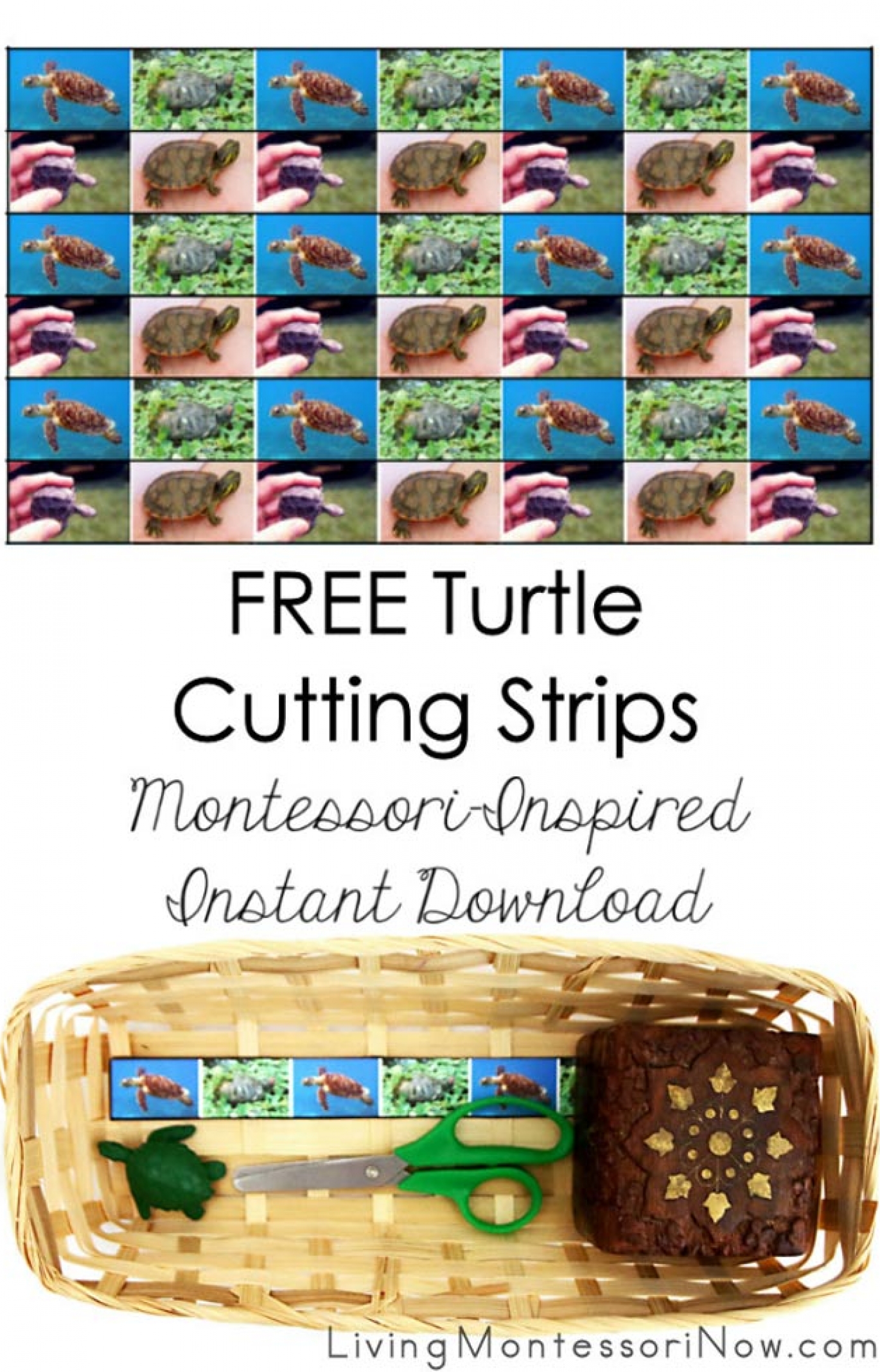 Developing Scissor Cutting Skills with Montessori-Inspired Activities