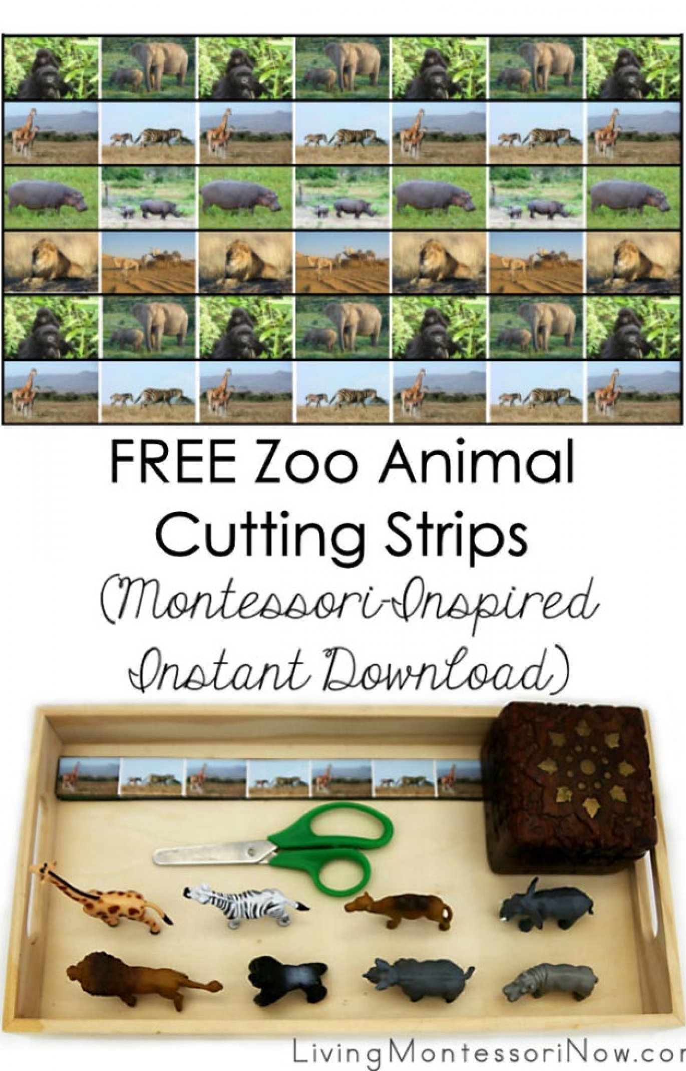 Developing Scissor Cutting Skills with Montessori-Inspired Activities