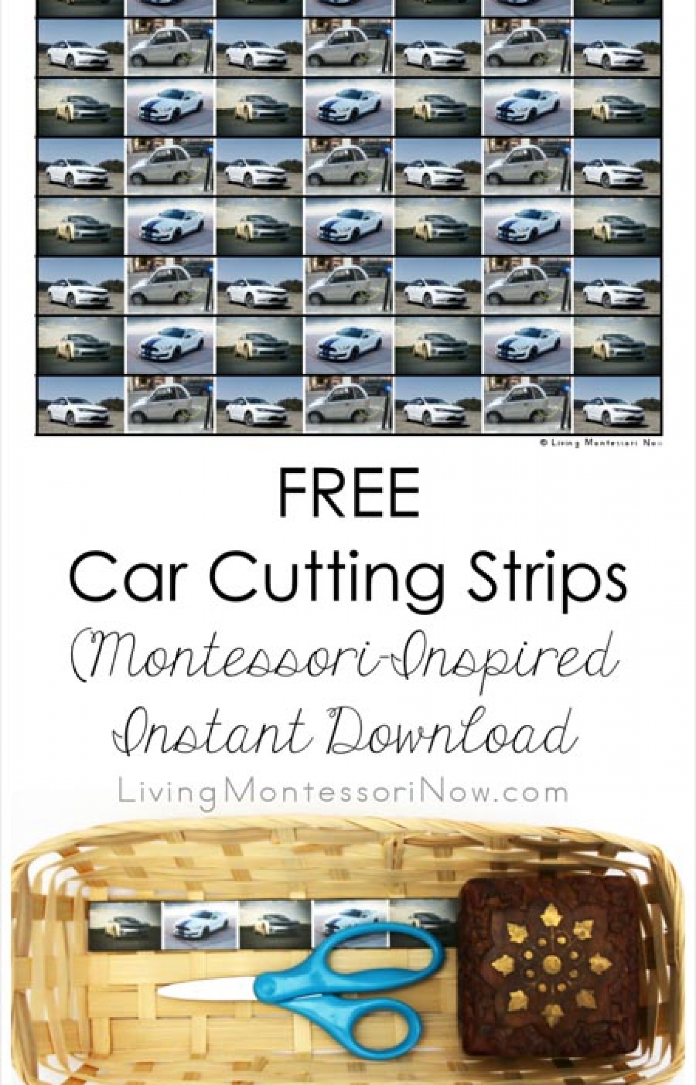 Free Cutting Strips - Living Montessori Now