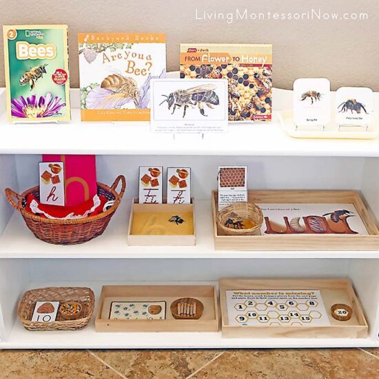 Free Bee Printables and Montessori-Inspired Bee Activities - Living ...