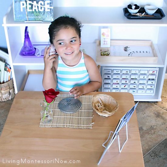 Montessori Services Peace Activities and Resources Review - Living ...