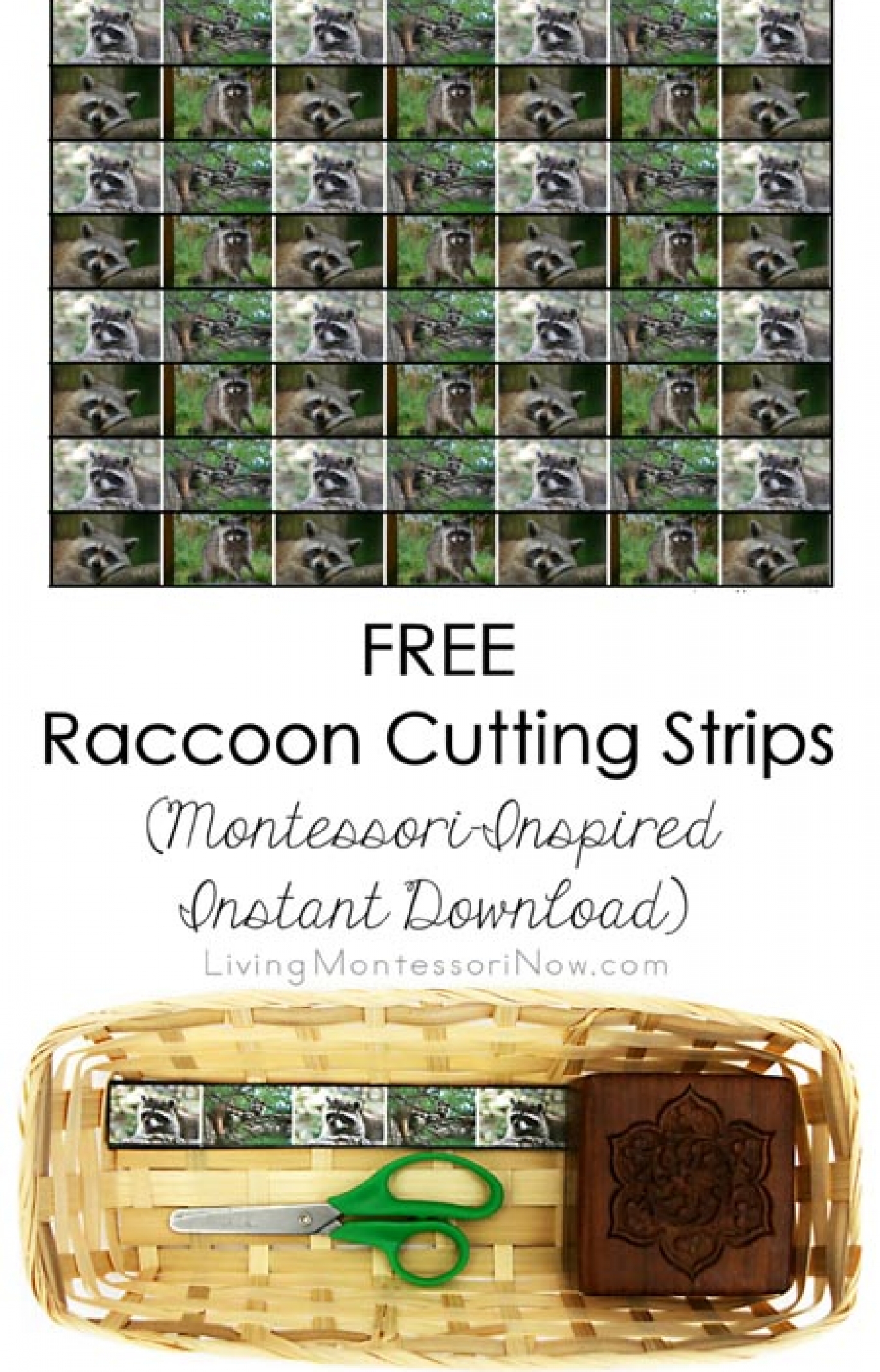 Developing Scissor Cutting Skills with Montessori-Inspired Activities