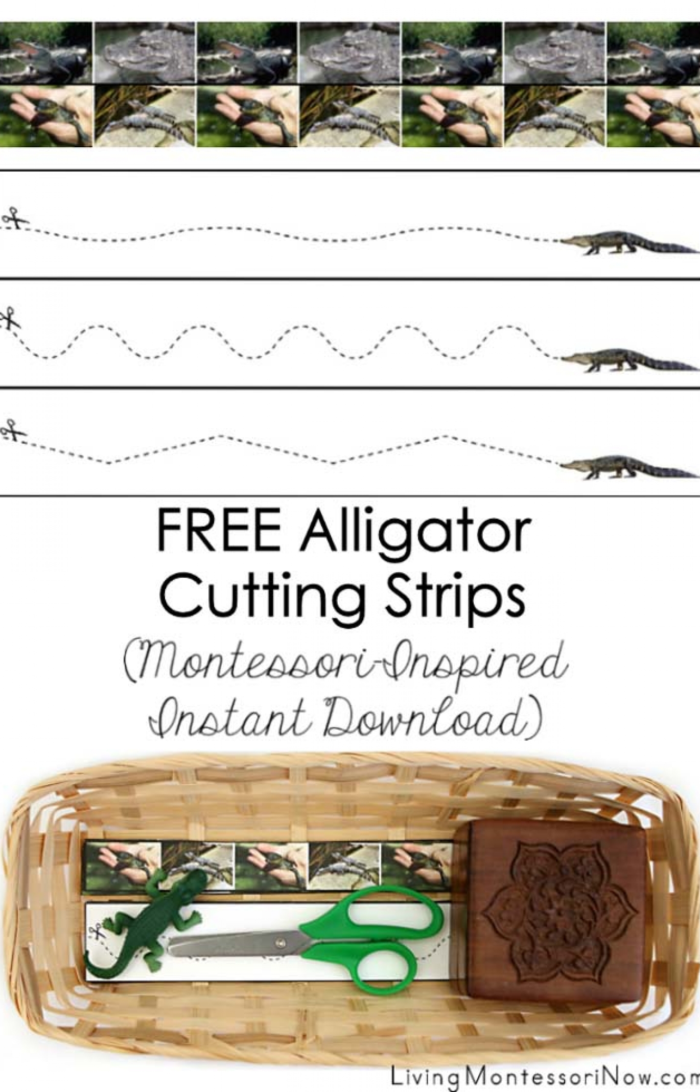 Montessori Monday – Paper Cutting Activities