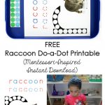 Free Raccoon Printables and Montessori-Inspired Raccoon Activities ...