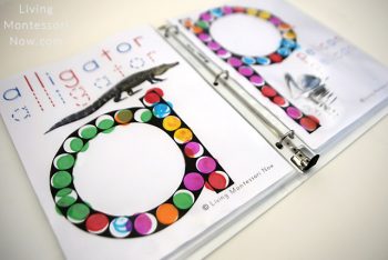 Montessori-Inspired Animal Alphabet Packs & My Animal Alphabet Book ...
