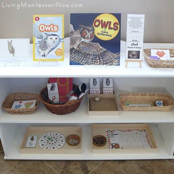 How to Prepare Themed Montessori Shelves - Living Montessori Now