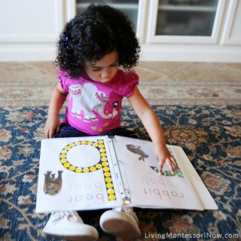 Montessori-Inspired Animal Alphabet Packs & My Animal Alphabet Book ...