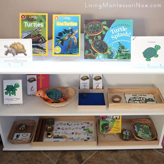 How to Prepare Themed Montessori Shelves - Living Montessori Now