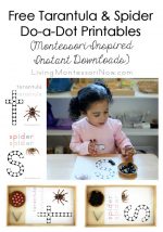 Free Spider Printables and Montessori-Inspired Spider Math Activities ...