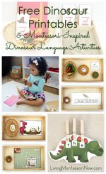 Free Dinosaur Printables and Montessori-Inspired Dinosaur Language ...