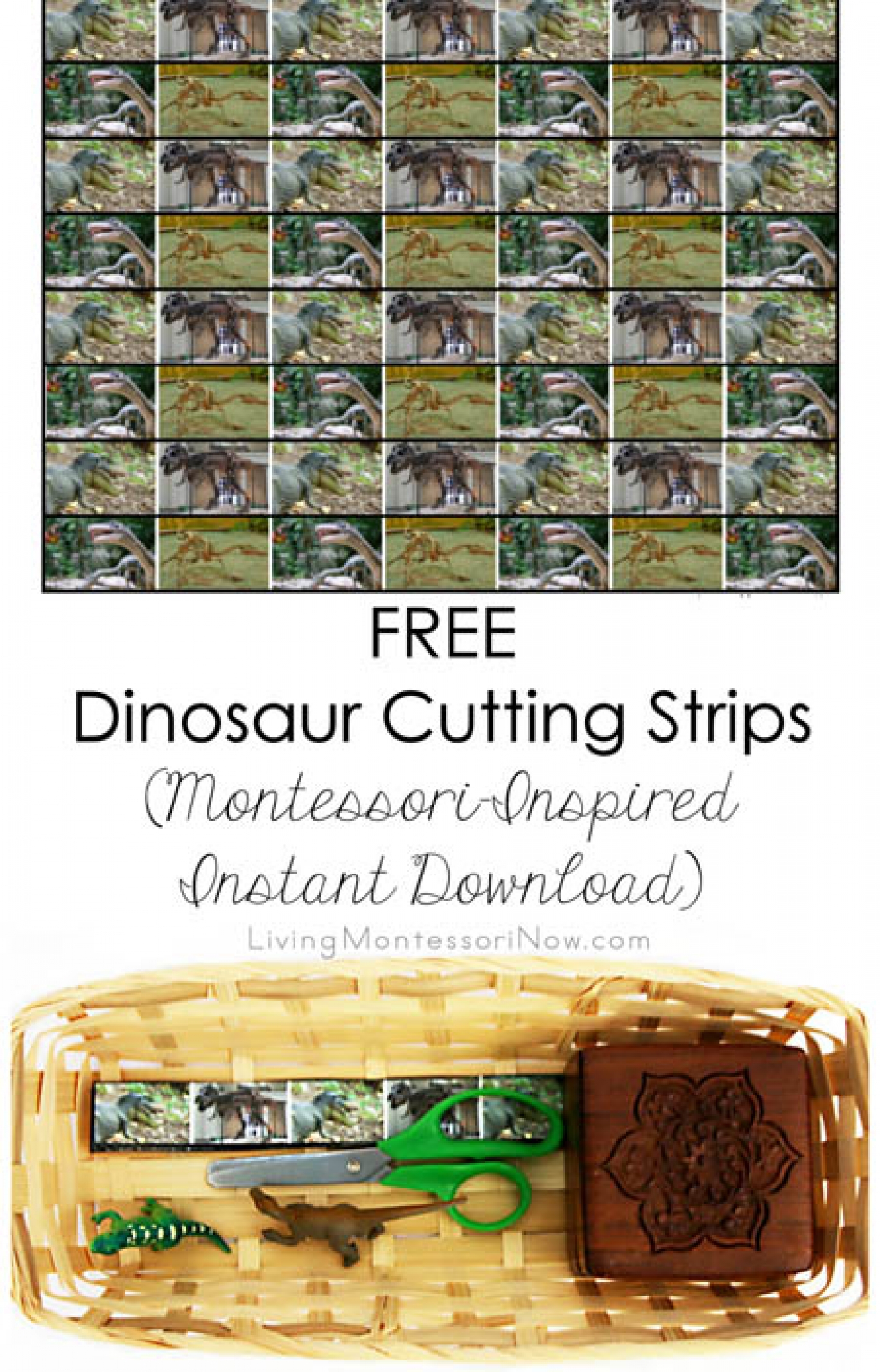 Developing Scissor Cutting Skills with Montessori-Inspired Activities