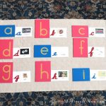 Special Focus on Montessori Letters and Sounds Work in Manuscript or ...