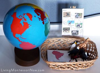 Extending Montessori Animals of the Continents Work - Living Montessori Now