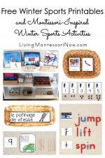 Free Winter Sports Printables and Montessori-Inspired Winter Sports ...
