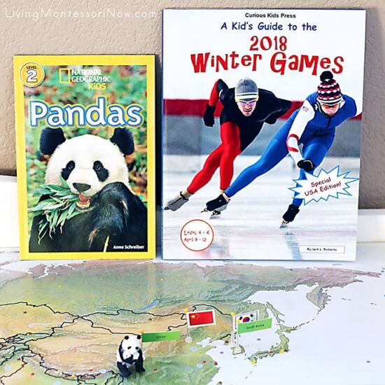 Free Panda Printables and Montessori-Inspired Panda Activities