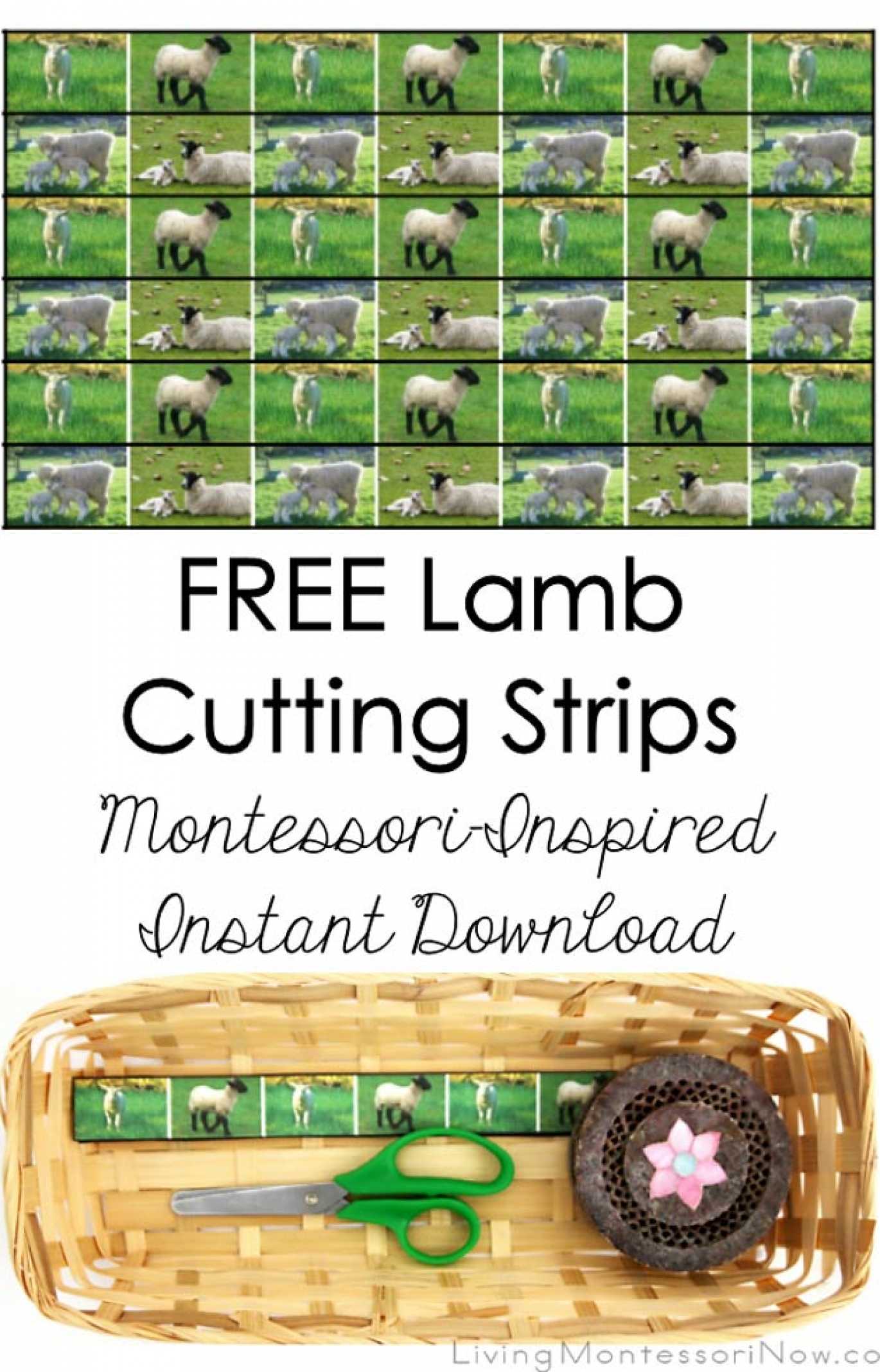 Developing Scissor Cutting Skills with Montessori-Inspired Activities