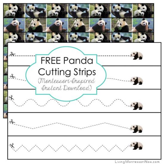 FREE Panda Cutting Strips (Montessori-Inspired Instant Download ...