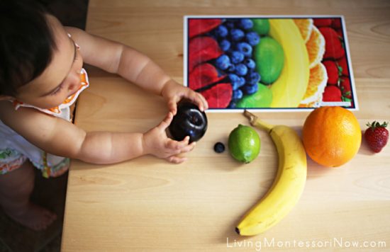 Montessori Toddlers in the Kitchen: Food Preparation and Healthy Eating ...